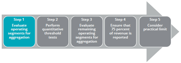 3.2 Step 1: Evaluate Operating Segments for Aggregation | DART ...