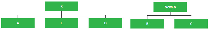 1.2 Identifying the Form and Content of the Carve-Out Financial ...
